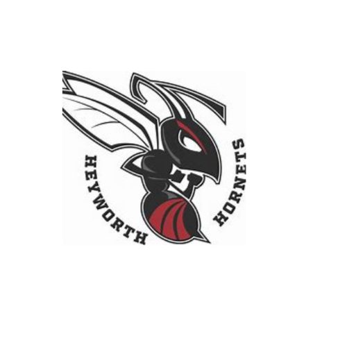 Heyworth Hornets – SassyandClassyDesigns